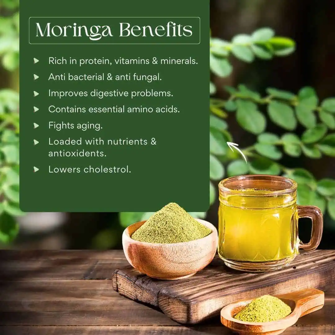 The Ultimate Guide to Moringa Benefits for Women